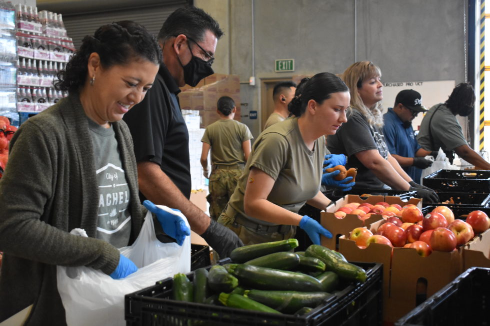 Programs & Services FIND Food Bank, FIND Food Distribution