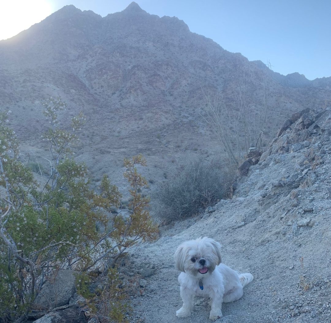 Debbie Espinosa CEO FIND Food Bank