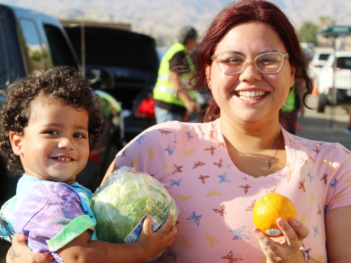 Programs & Services FIND Food Bank, FIND Food Distribution