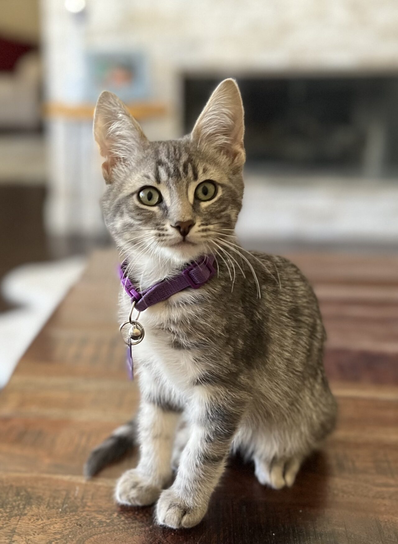 Debbie Espinosa CEO FIND Food Bank